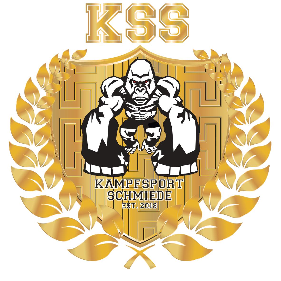 Kampfsport Heilbronn | Kickboxen Heilbronn| Mma Heilbronn| Boxen | Bjj ...